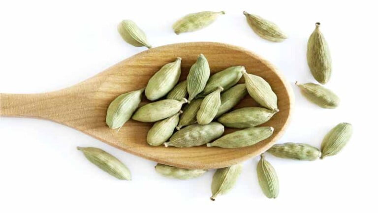 "Cardamomo - Poder Medicinal Concentrado En Cada Grano"